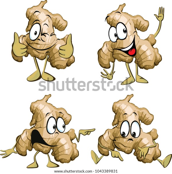 Ginger Root Cartoon Legs Hand Gesture Stock Vector (Royalty Free ...
