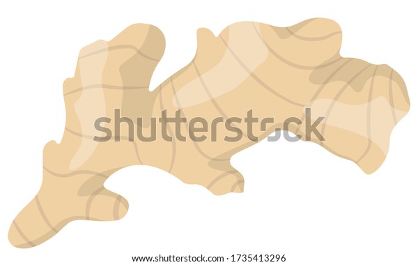 Ginger Root Cartoon Style Healthy Food Stock Vector (Royalty Free ...