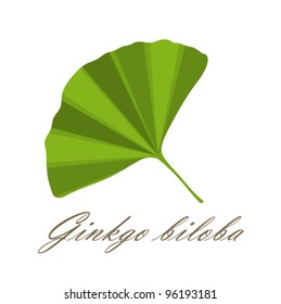 Ginkgo Leaf Symbol Vector Illustration: เวกเตอร์สต็อก (ปลอดค่าลิขสิทธิ์ ...