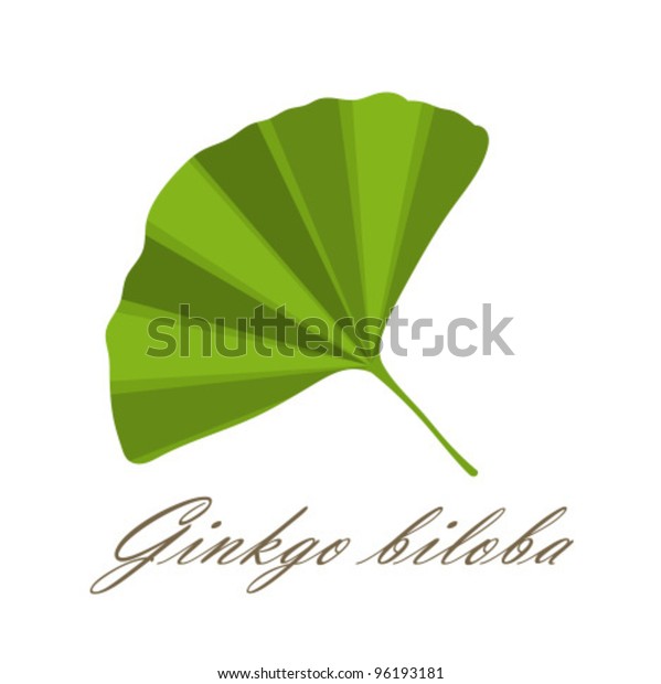Ginkgo Leaf Symbol Vector Illustration: เวกเตอร์สต็อก (ปลอดค่าลิขสิทธิ์ ...
