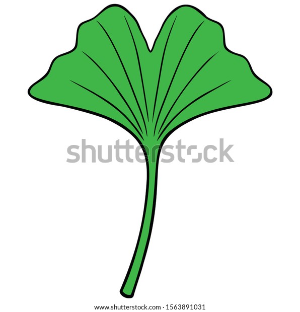 Ginkgo Tree Leaf Cartoon Illustration Ginkgo Stock Vector (Royalty Free ...
