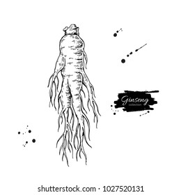13,288 Chinese ginseng Images, Stock Photos & Vectors | Shutterstock