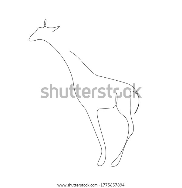 Giraffe Animal Line Drawing Vector Illustration Stock Vector (Royalty ...