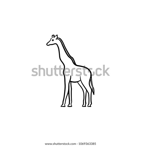 Giraffe Hand Drawn Outline Doodle Icon Stock Vector (Royalty Free ...