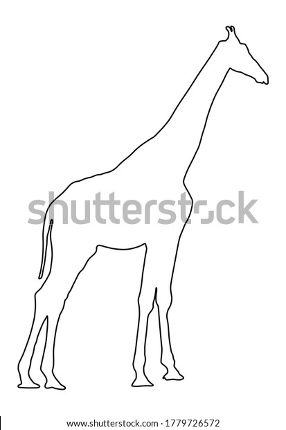 Giraffe Line Contour Vector Illustration Silhouette Stock Vector ...