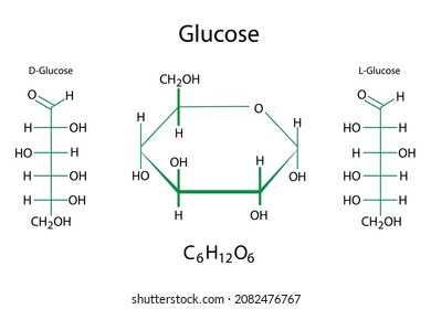 Glucose Chemical Formulas Molecular Structure Science Stock Vector ...