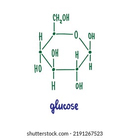 Glucose Hand Drawn Vector Formula Chemical Stock Vector (Royalty Free ...