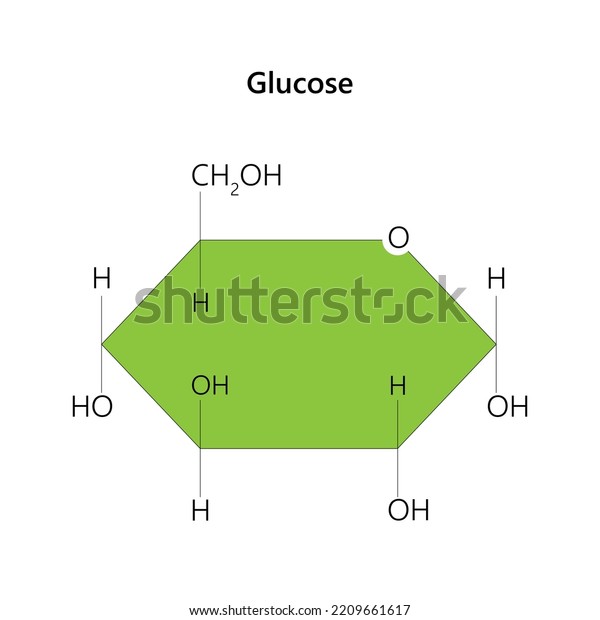 Glucose Simple Sugar Vector Illustration Stock Vector (Royalty Free ...