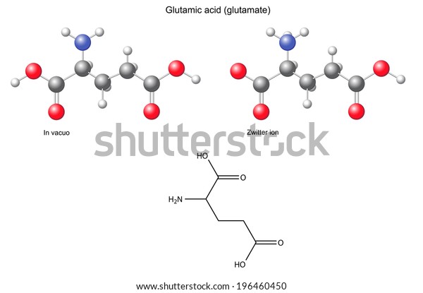 Glutamic Acid Glu Chemical Structural Formula: เวกเตอร์สต็อก (ปลอดค่า ...