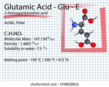 Glutamic Acid Glu E Amino Acid Stock Vector (Royalty Free) 1948828816 ...