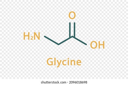 646 Glycine structure Images, Stock Photos & Vectors | Shutterstock