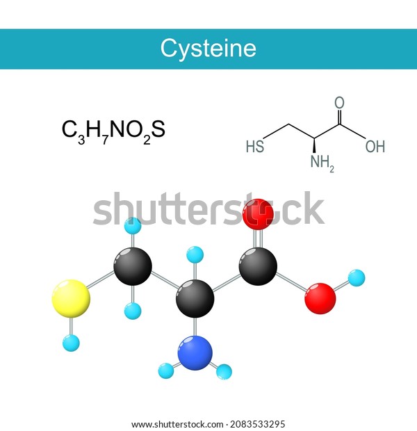 Glycine Molecular Formula Chemical Structural Formula Stock Vector ...