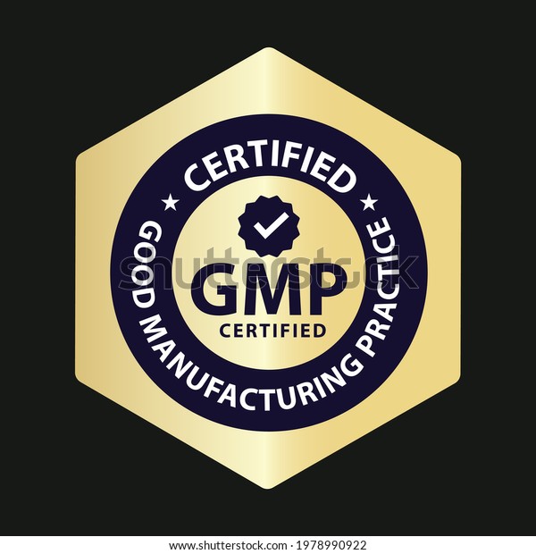 Gmp Certified Good Manufacturing Practice Golden Stock Vector (Royalty ...