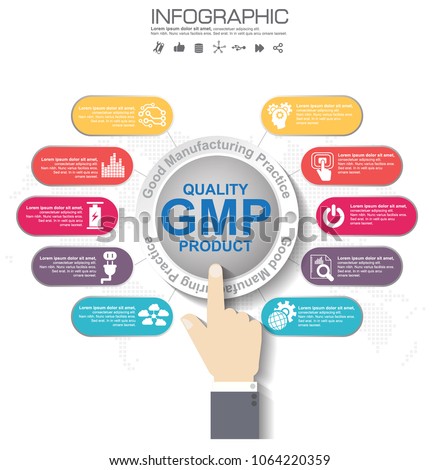 GMP Good Manufacturing Practice 8 Heading Infographic Stock Vector ...