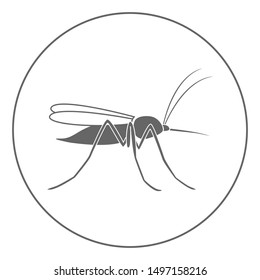 Gnat Images, Stock Photos & Vectors | Shutterstock