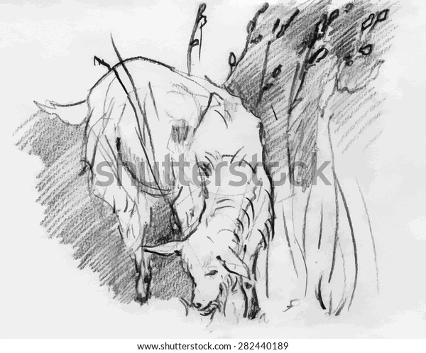 Goat Eating Grass Pencil Drawing Stock Vector (Royalty Free) 282440189
