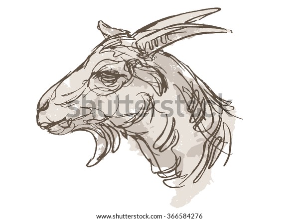 Goat Hand Draw Sketch Vector Stock Vector (Royalty Free) 366584276 ...