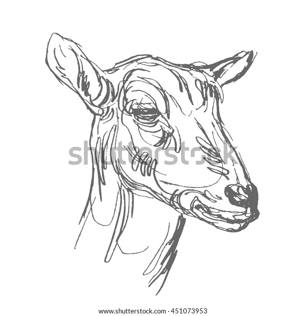 Goat Hand Draw Sketch Vector Stock Vector (Royalty Free) 451073953 ...