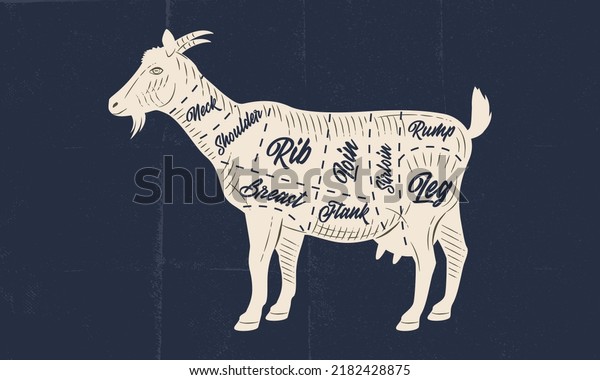 Goat Meat Chart Butchery Poster Goat: เวกเตอร์สต็อก (ปลอดค่าลิขสิทธิ์ ...