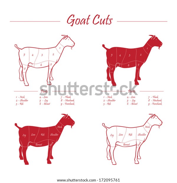 Goat Meat Cuts Red On White Stock Vector (Royalty Free) 172095761