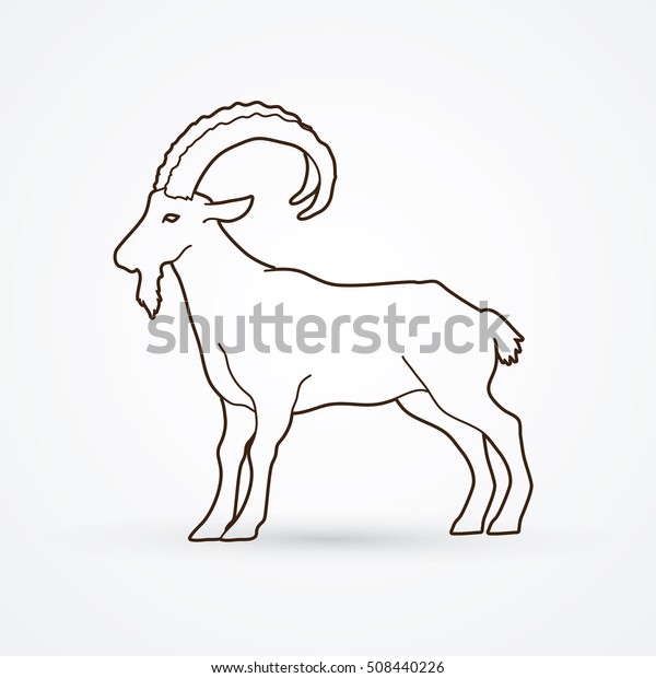 Goat Standing Outline Graphic Vector Stock Vector (Royalty Free) 508440226