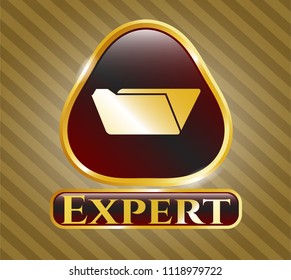 Gold Badge Emblem Folder Icon Expert Stock Vector (Royalty Free ...