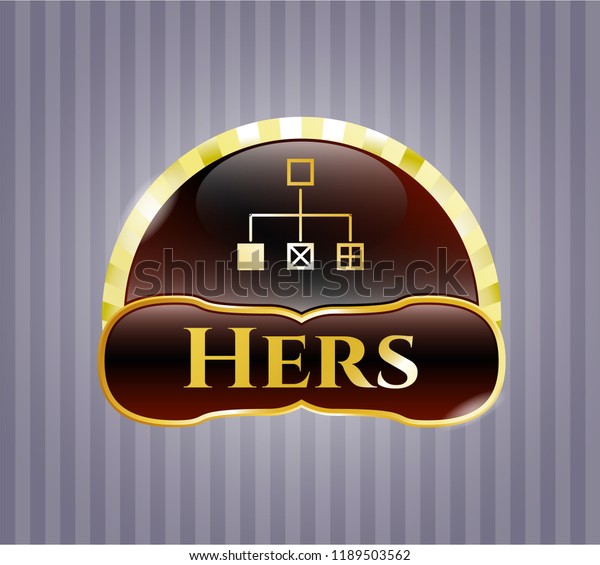 Gold Badge Flowchart Icon Hers Text Stock Vector (Royalty Free ...