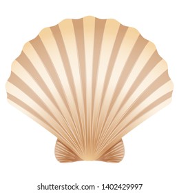 17 Open clamshell Stock Vectors, Images & Vector Art | Shutterstock