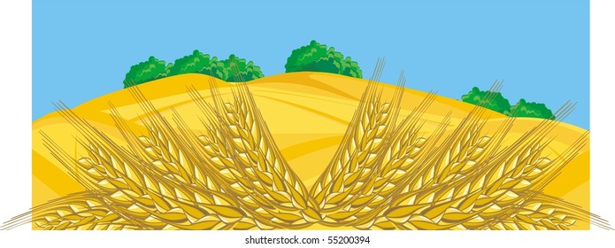 Gold Field Stock Vector (Royalty Free) 55200394 | Shutterstock