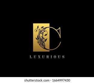 Gold Letter C Logo C Letter Stock Vector (Royalty Free) 1664997430 ...