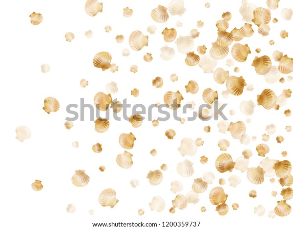 Gold Seashells Vector Golden Pearl Bivalved: เวกเตอร์สต็อก (ปลอดค่า ...