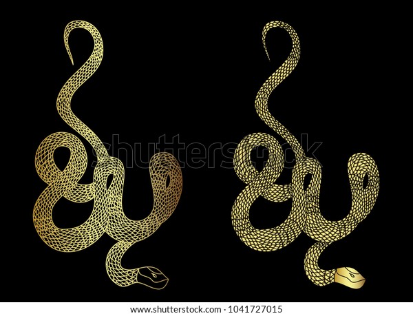 Gold Snake Vector On Black Background Stock Vector (Royalty Free ...