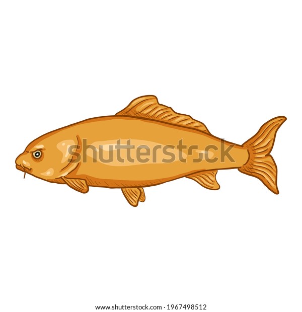 Golden Carp Fish Cartoon Vector Illustration Stock Vector (Royalty Free ...