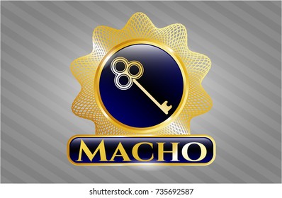 Golden Emblem Key Icon Macho Text Stock Vector (Royalty Free) 735692587 ...