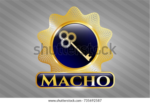 Golden Emblem Key Icon Macho Text Stock Vector (Royalty Free) 735692587 ...