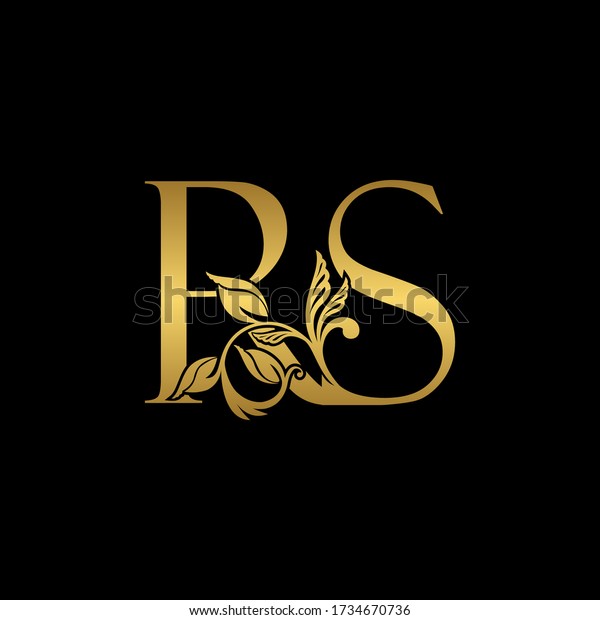 Golden Initial Letter R S Rs Stock Vector (Royalty Free) 1734670736 ...