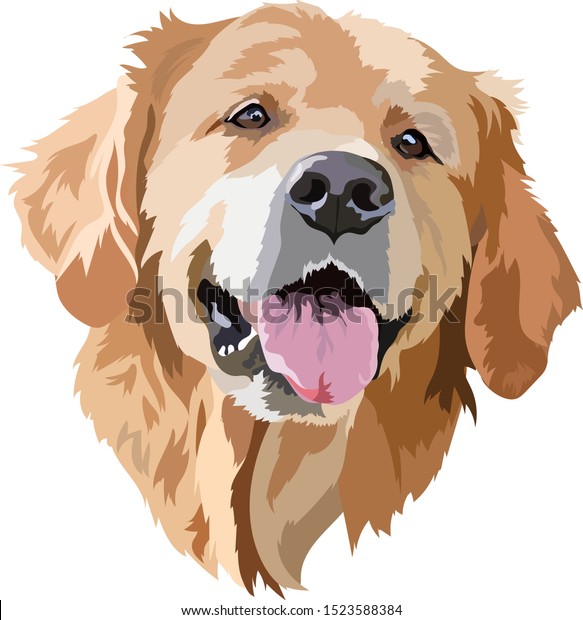 Golden Labrador Retriever Head Vector Illustration Stock Vector ...