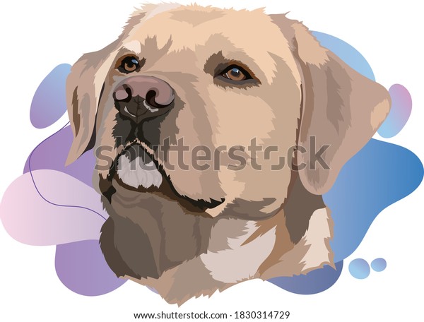 Golden Labrador Retriever Head Vector Illustration Stock Vector ...