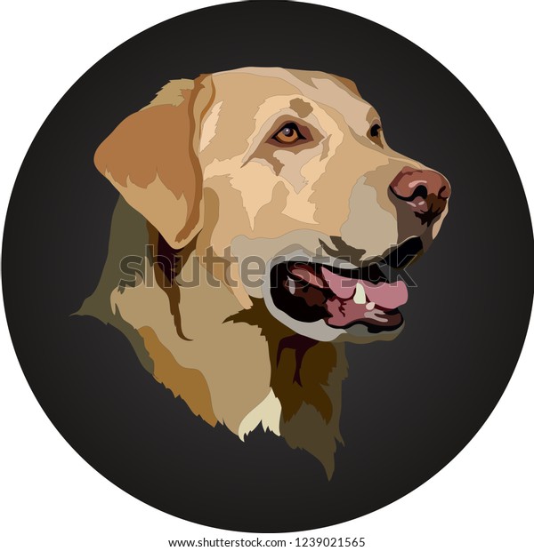 Golden Labrador Retriever.Vector illustration.
