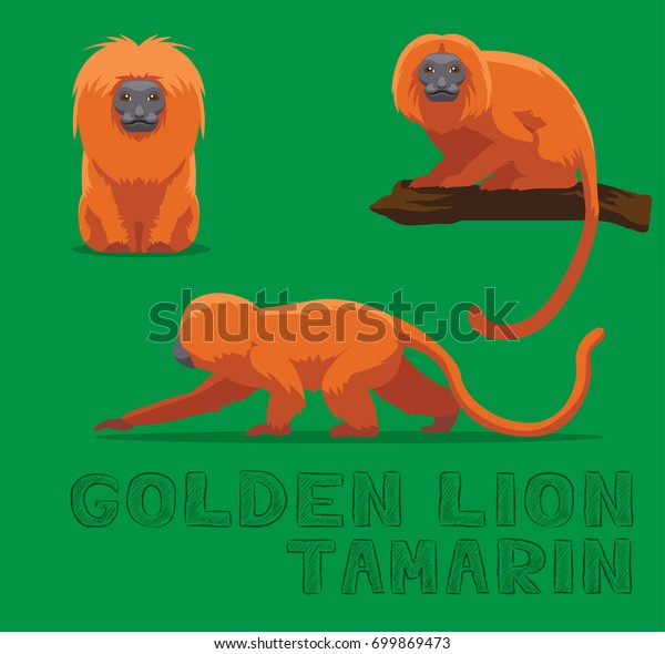 Golden Lion Tamarin Cartoon Vector Illustration 스톡 벡터(로열티 프리) 699869473 ...