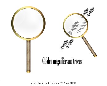 Golden Magnifier Traces Stock Vector (Royalty Free) 246767836 ...