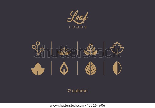 Golden Minimal Leaf Foliage Logo Icons Stock Vector (Royalty Free ...
