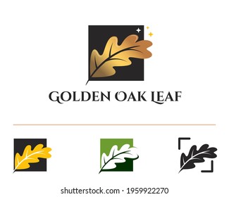 Golden Oak Leaf Logo Inside Black Stock Vector (Royalty Free ...