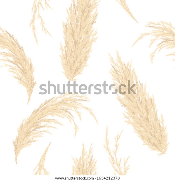 Golden Pampas Grass Seamless Vector Pattern Stock Vector (Royalty Free ...