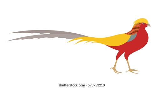 2,342 Red golden pheasant Images, Stock Photos & Vectors | Shutterstock