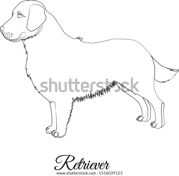 Golden Retriever Dog Outline Vector Stock Vector (Royalty Free ...