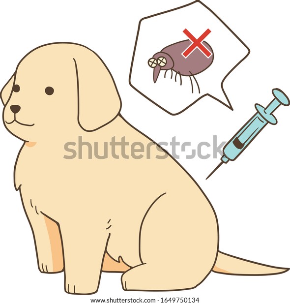 Golden Retriever Injection Flea Mite Vaccination Stock Vector (Royalty ...
