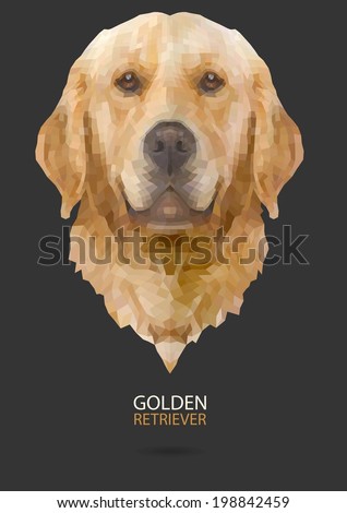 Golden Retriever Vector Polygon Geometric Stock Vector (Royalty Free ...