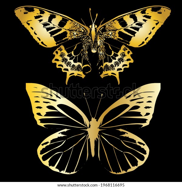 Golden Vector Butterfly Stylized Vector Stock Vector (Royalty Free ...