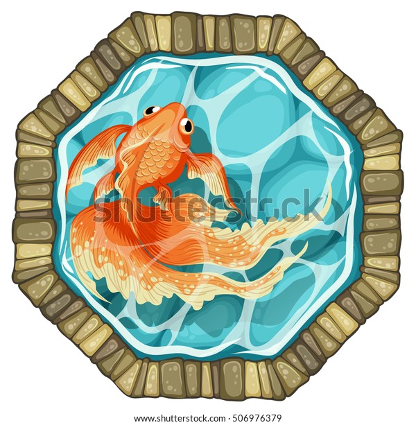 Goldfish Pond Top View Vector Illustration Stock Vector (Royalty Free ...